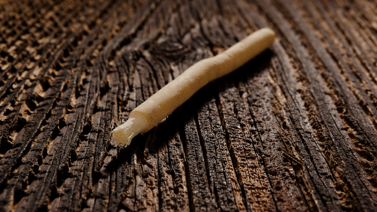 Benefits of the Miswak